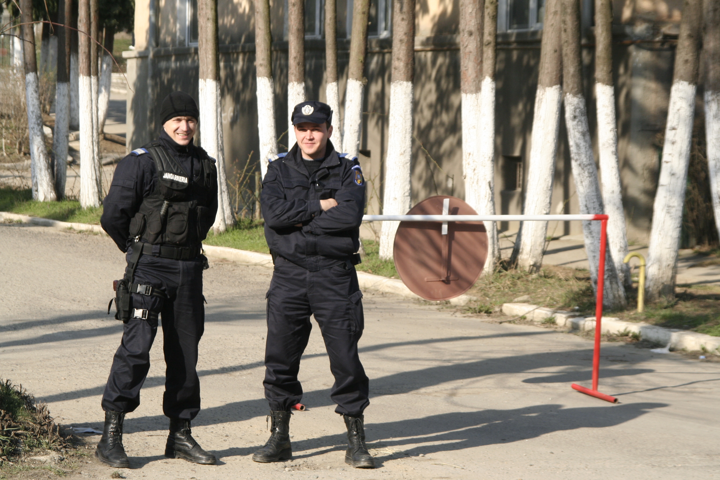 Jandarmii, la cursuri!