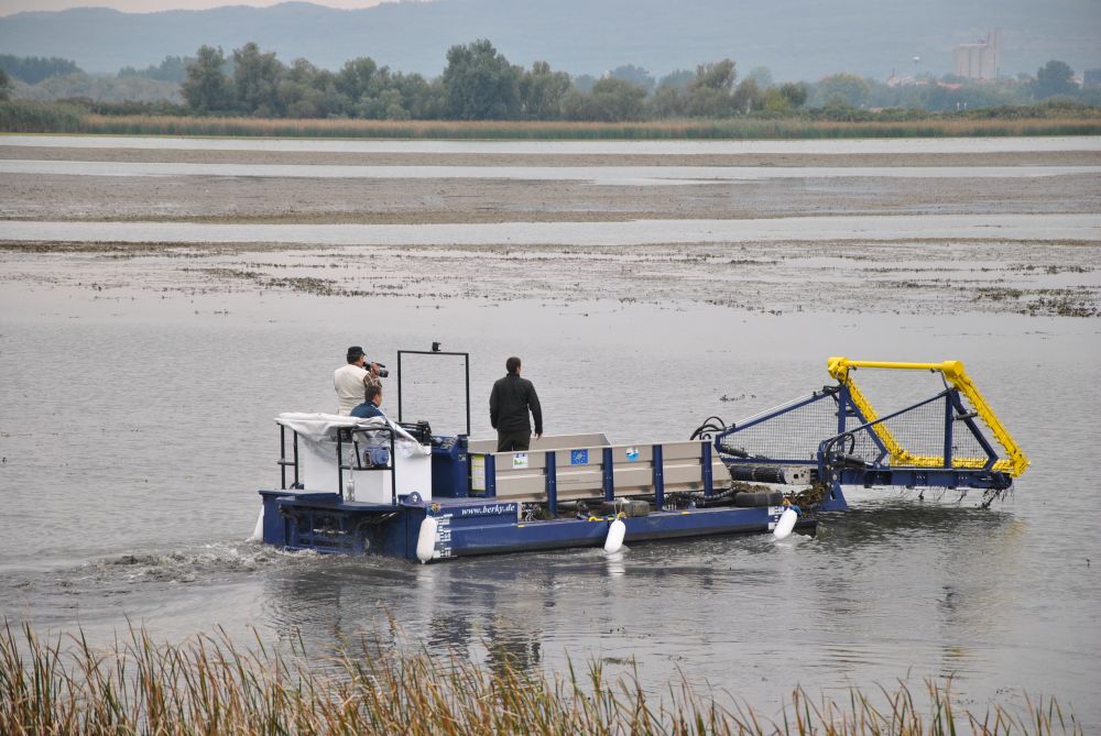 VIDEO/FOTO: Aqua tractor pe Dunăre. Vezi cum scapă fluviul de algele ...