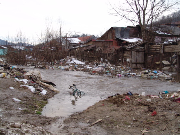 Bocșa își face loc pe harta curățeniei. „Un oraș devine curat cu ...