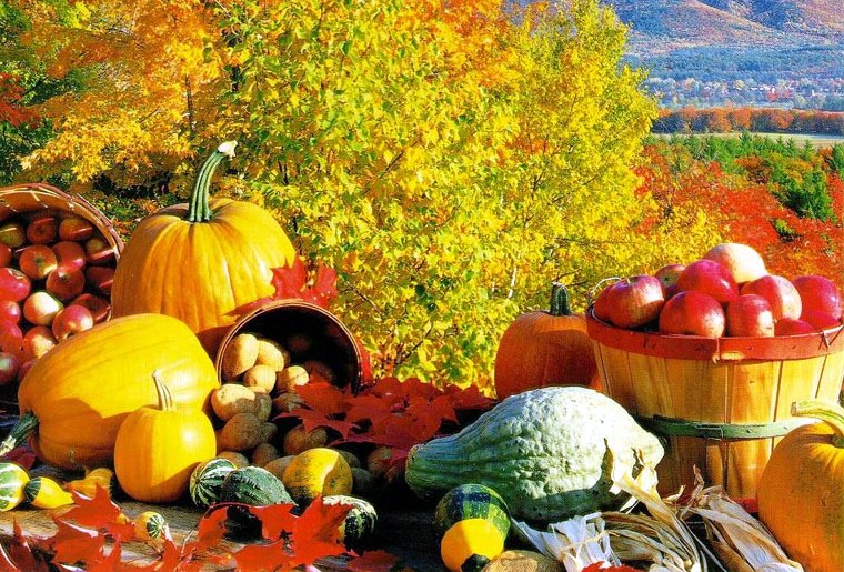 Parcul Tricolorului, în culori de toamnă! La Zilele Recoltei!