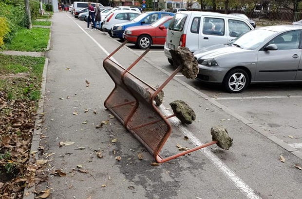 REVOLTĂTOR. Comportament animalic pe străzile Reșiței!