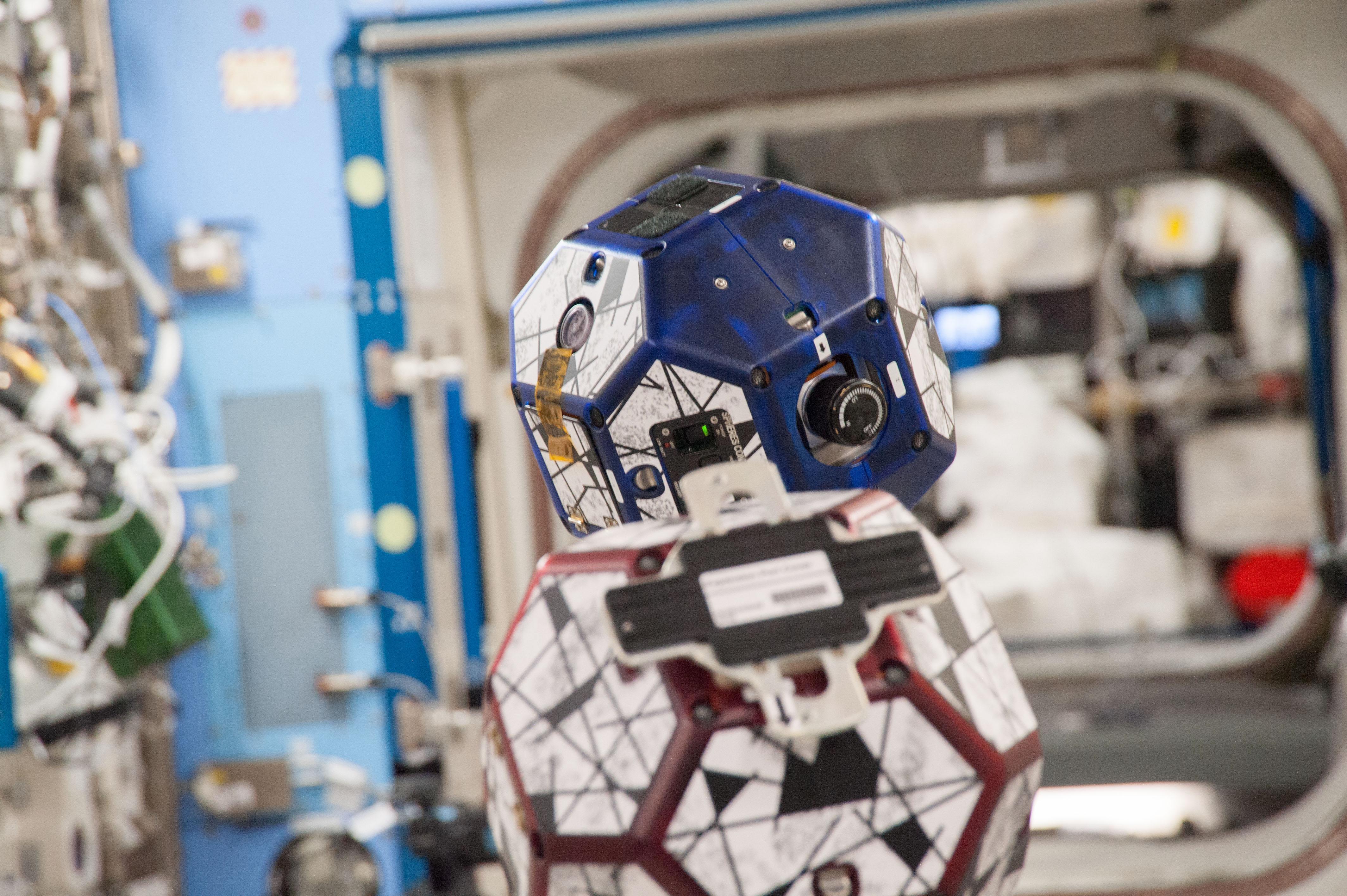 S-au găsit banii pentru elevii geniali ai Timișoarei, calificați în ...