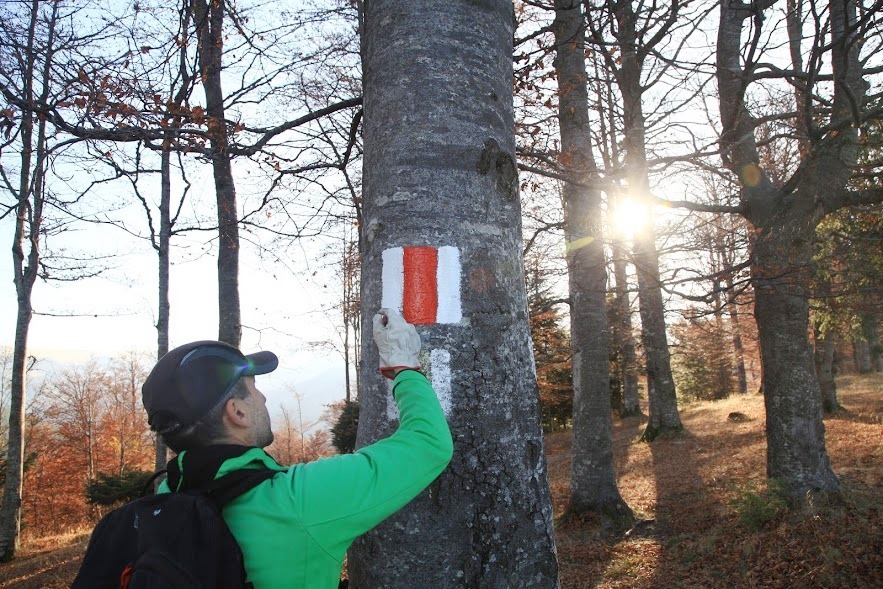 Trasee turistice proaspăt marcate pe Țarcu!