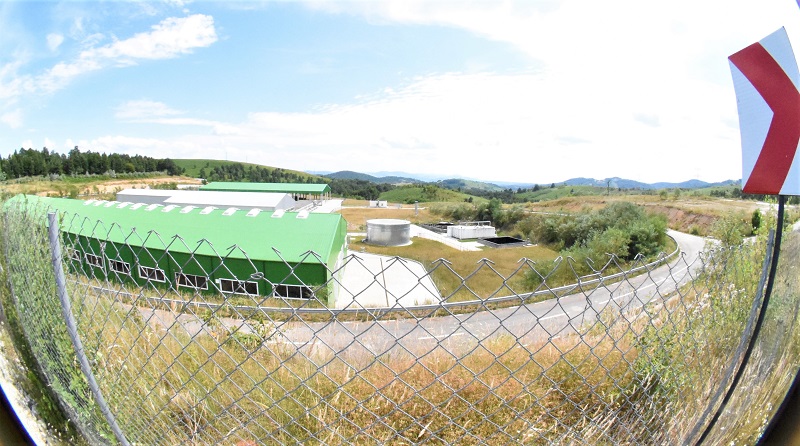 „La Lupac miroase foarte urât, chiar dacă nu este nici măcar un gram de ...