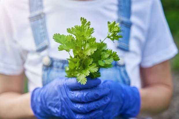 Legături fine, expresii curente şi-o memă bine-cunoscută - Știri din ...