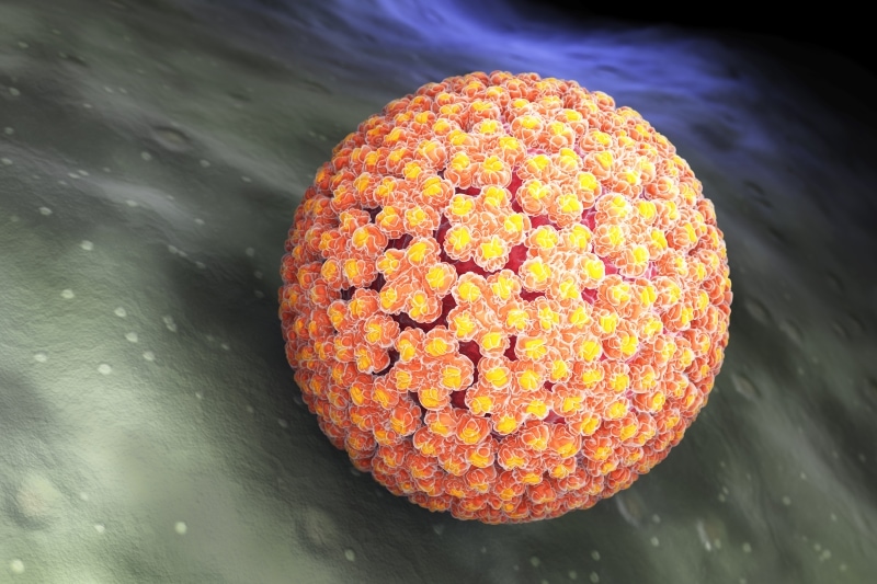 Cancerul de col uterin, consecința gravă a infectării cu virusul HPV ...