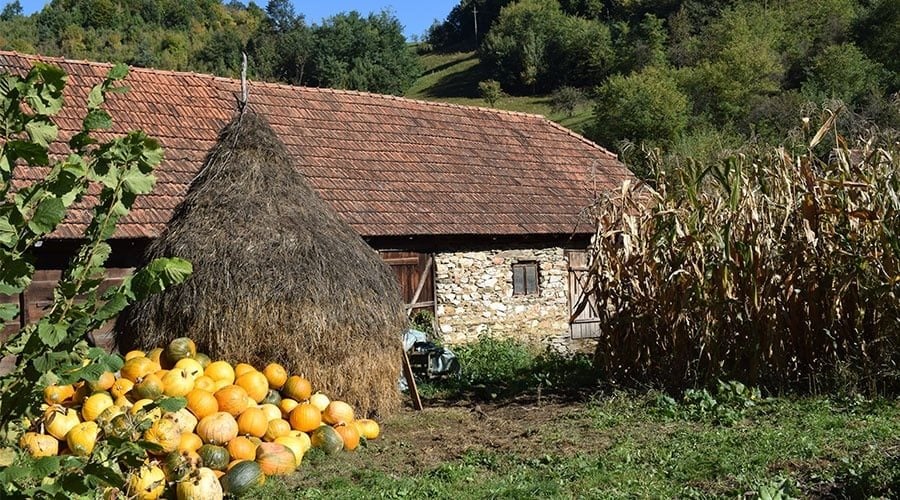 FOTO. Toamna își etalează frumusețea pentru iubitorii de călătorii în ...