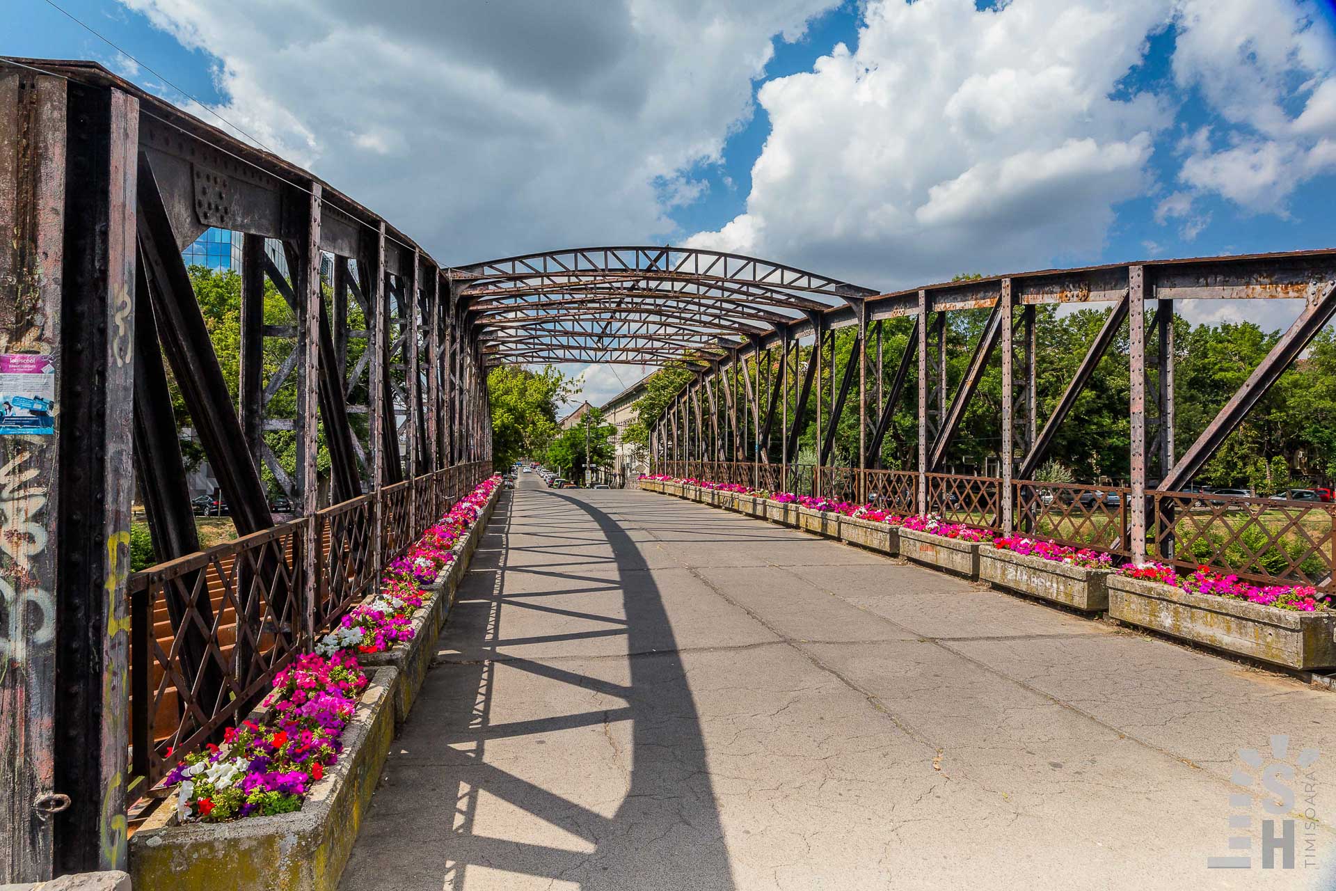 Patrimoniul Timișoarei, descoperit prin dans. Se pregătește un ...