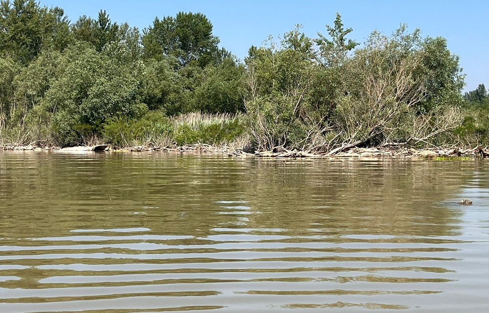 Poluarea Dunării s-a oprit în Serbia!