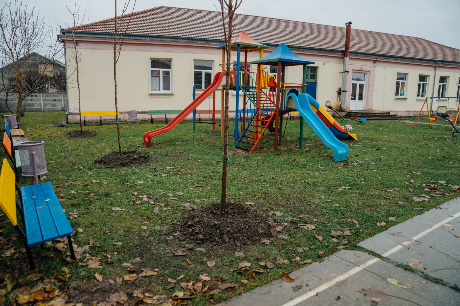 Curțile a 11 școli și grădinițe din Timișoara, înverzite - Știri din ...