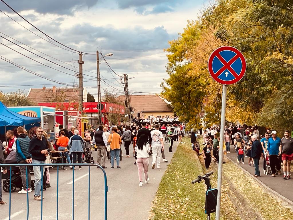 Cartierul Plopi din Timișoara, investiții importante în 2023 - Știri ...