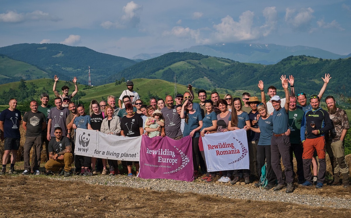 Zimbrii de la Armeniș, în strategie națională