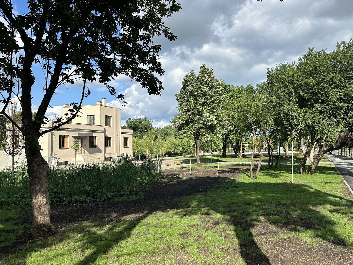 Mini-pădure urbană, în curând în centrul Timișoarei - Știri din ...