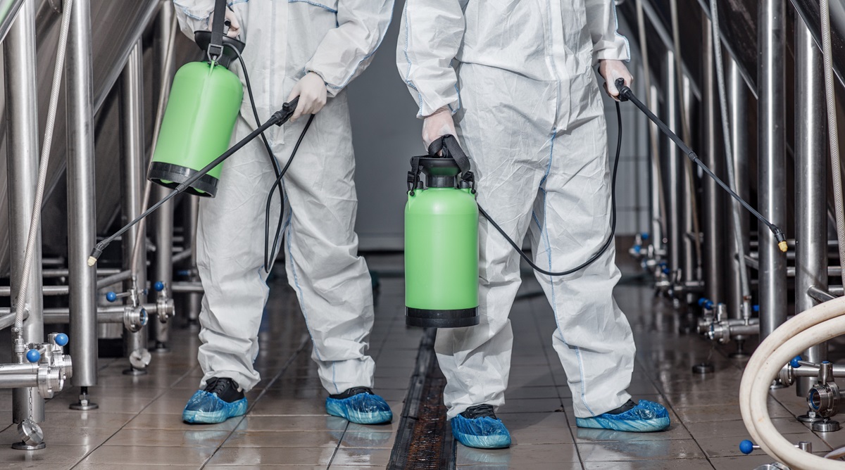 O nouă campanie de deratizare la Moldova Nouă!