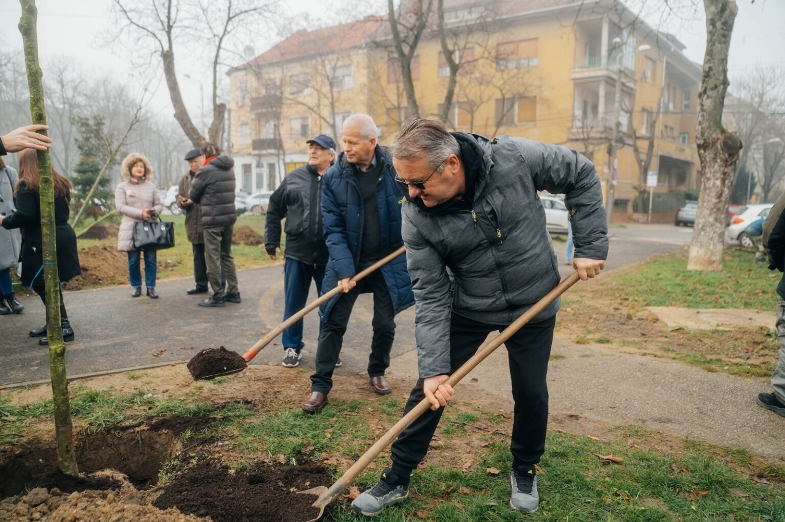 Aleea Libertății la Timișoara! Revoluționarii au plantat 11 stejari - Știri din Timișoara ...